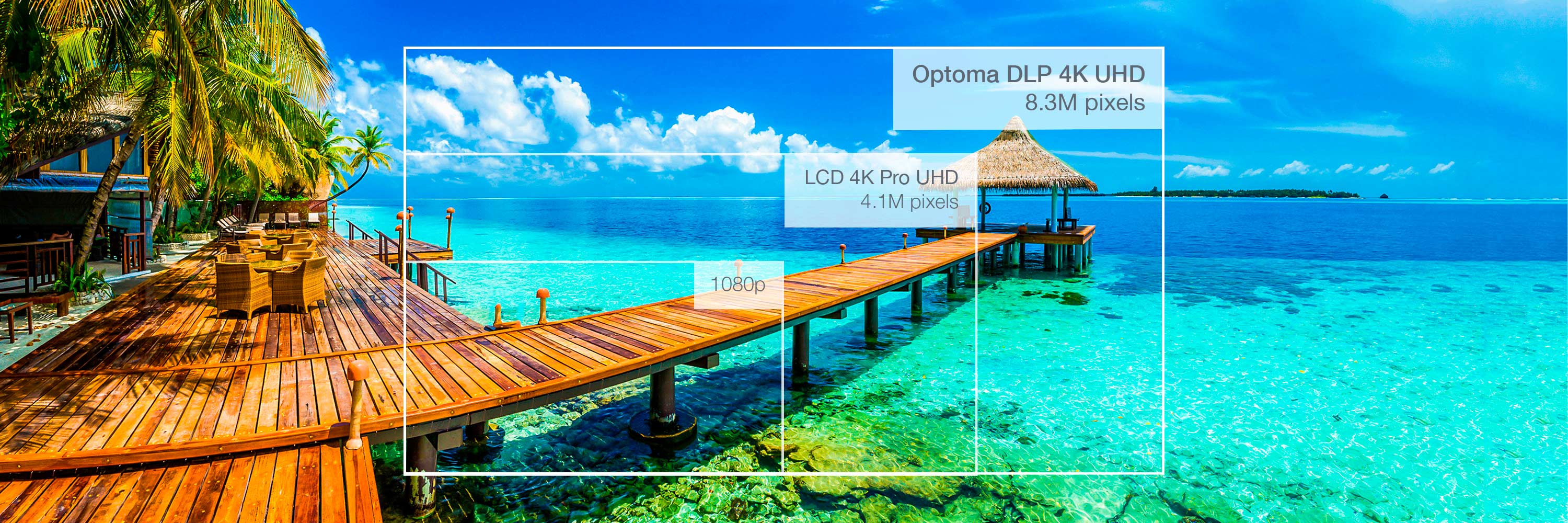 4K UHD Optoma Polska